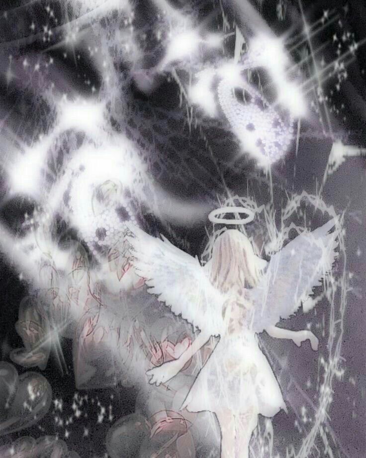 dripoholic - VimeTop