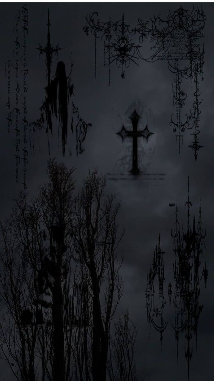 karahimary - VimeTop