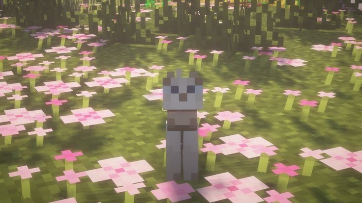 liituallli - VimeTop